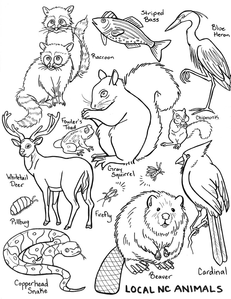 coloring pages lumberhill tales